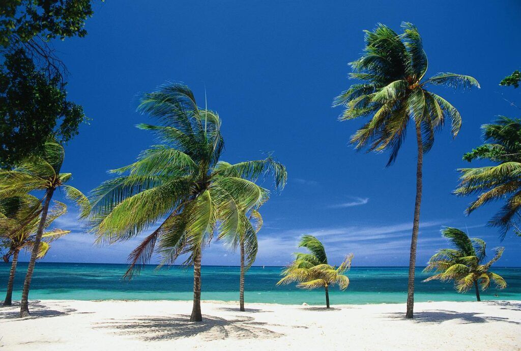 Cuba Vacations, All Inclusive Packages in Varadero, Holguin &more